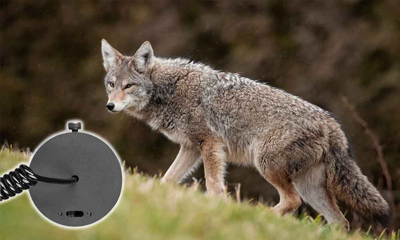 Clear Vision™ Scope PRO - Digital Night Vision IR Optics